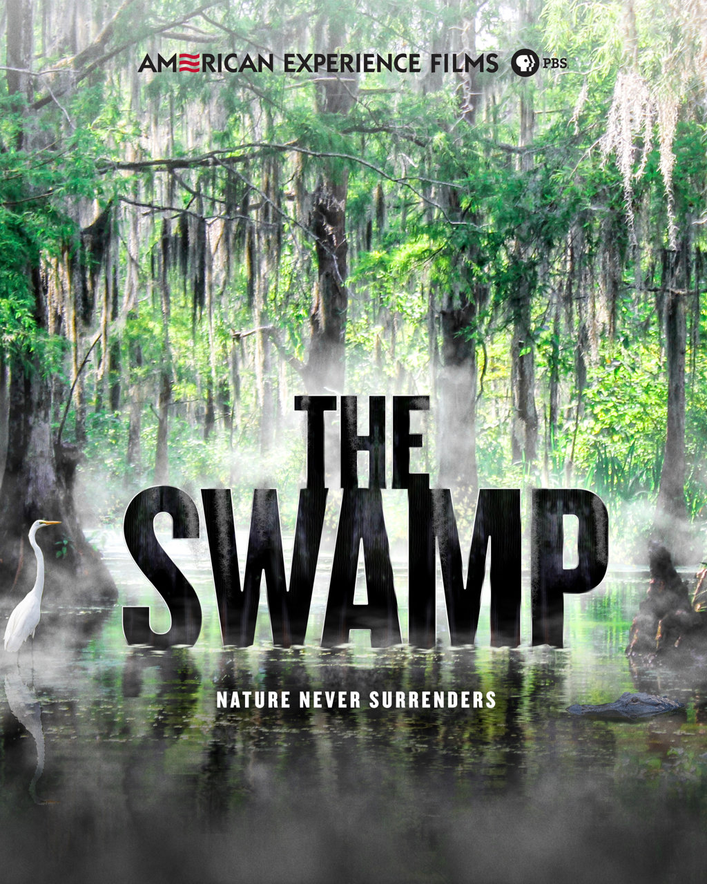 STEC invites you to tune in to The Film Posse’s latest production, The ...